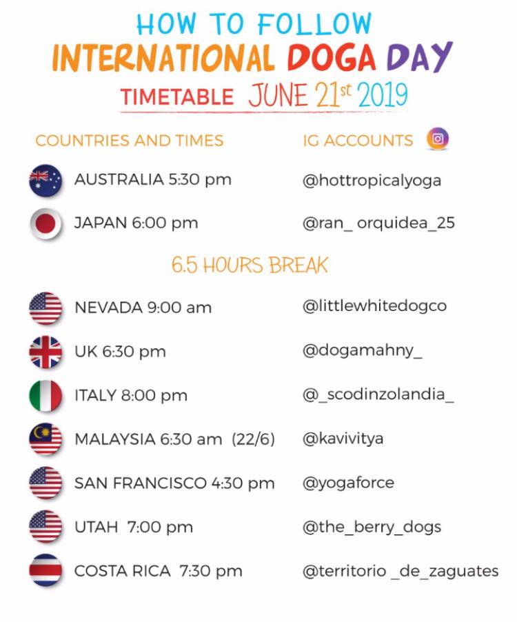THE DOGA DAYS OF SUMMER - Yogaforce