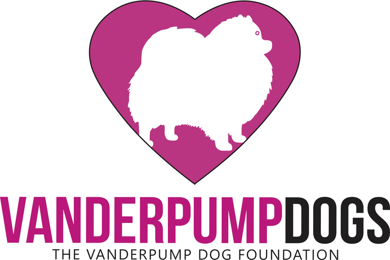 THE DOGA DAYS OF SUMMER - Yogaforce